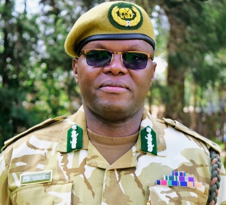 KWS Issues Warning After Postmortem Finds Plastic Container in Whale’s ...