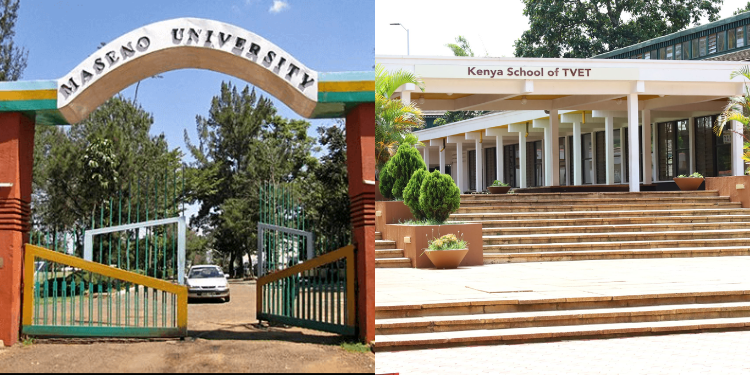 Maseno University, KSTVET and Agro-Chemical Firm Announce Job Vacancies ...